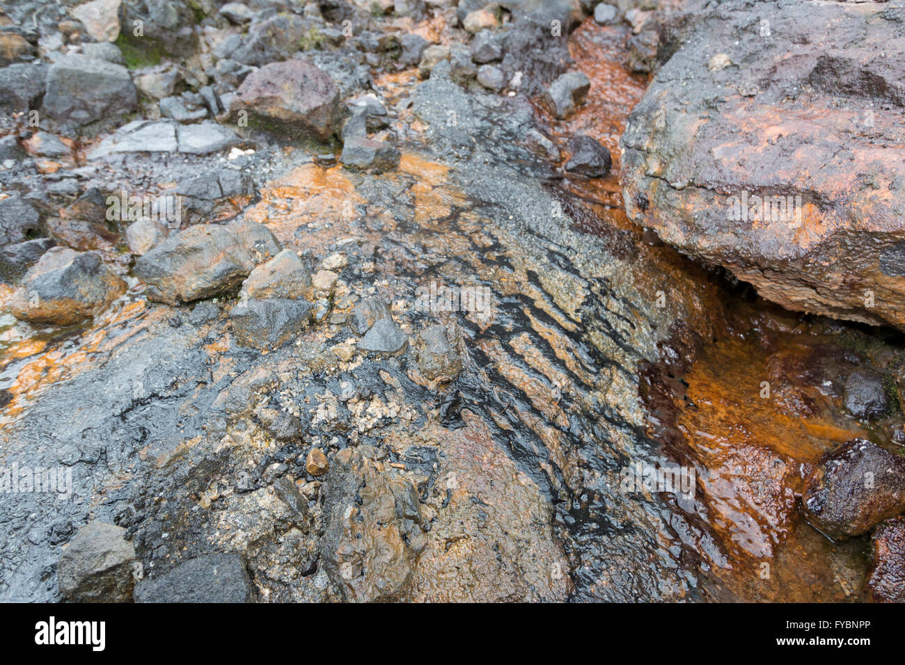 Bitumen seeping out of oil bearing rocks in an old quarry in Napo ...