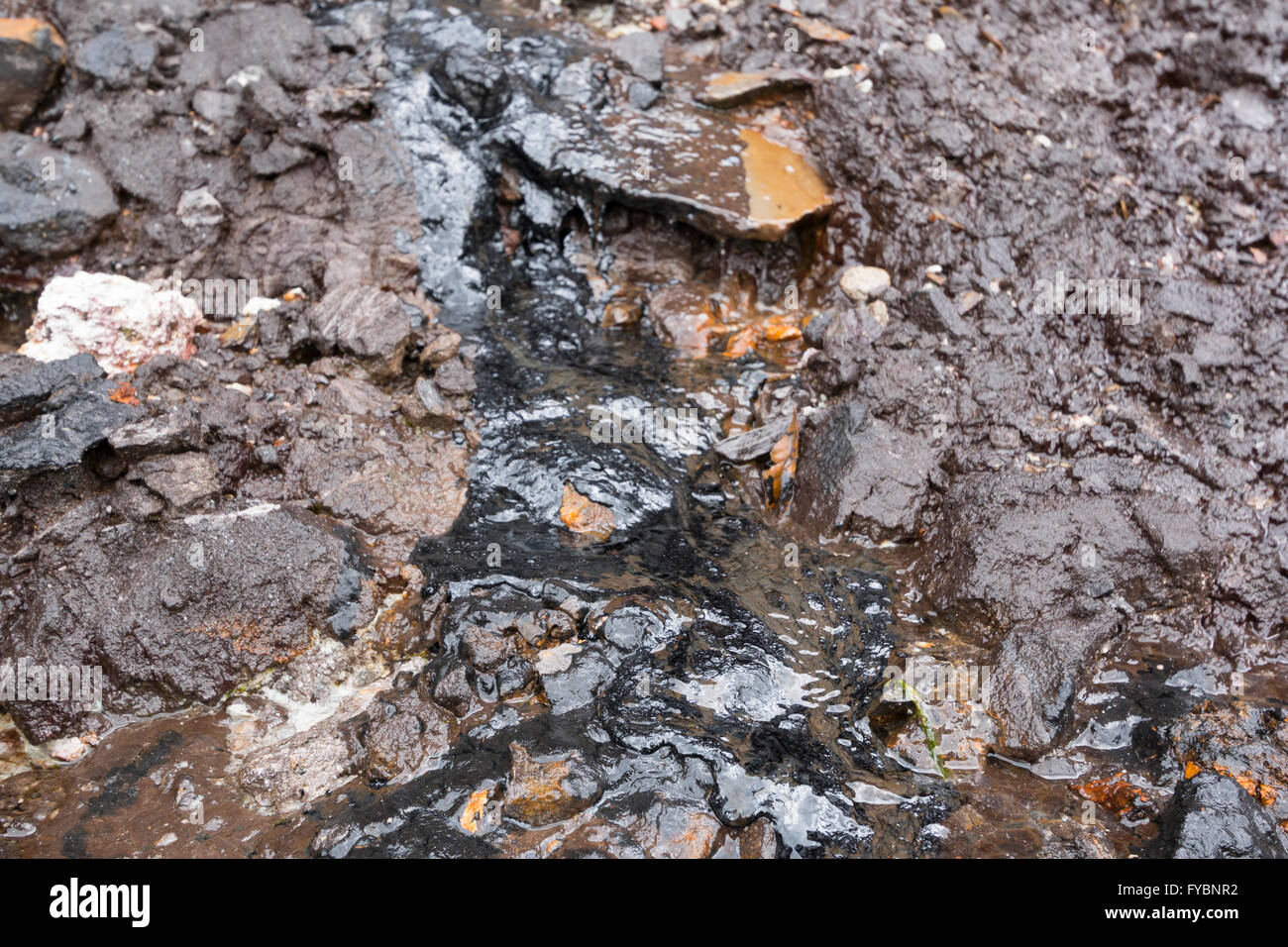 Bitumen seeping out of oil bearing rocks in an old quarry in Napo ...