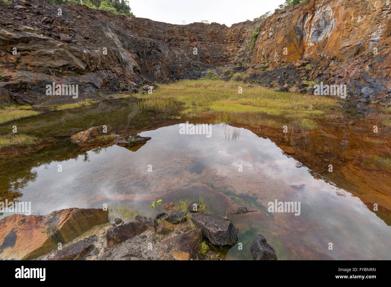 Outcrop of oil bearing rocks in an old quarry in Napo Province, Ecuador ...