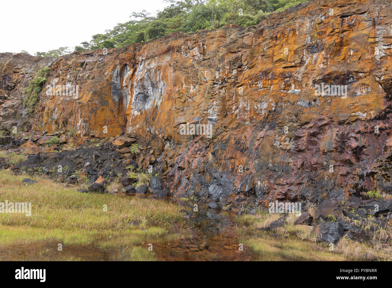 Outcrop of oil bearing rocks in an old quarry in Napo Province, Ecuador ...
