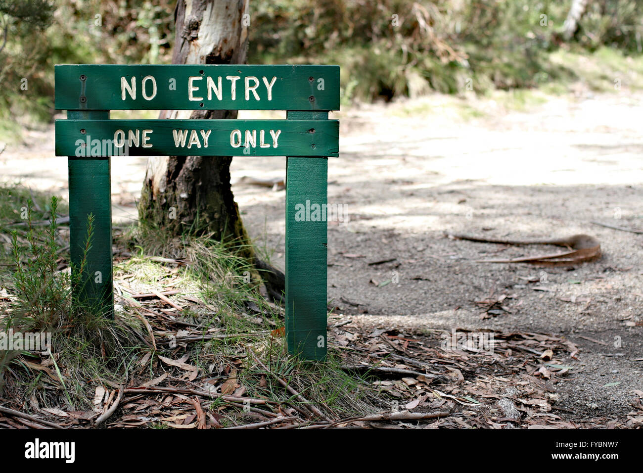 Wooden NO ENTRY, ONE WAY ONLY sign with background of road and bush ...