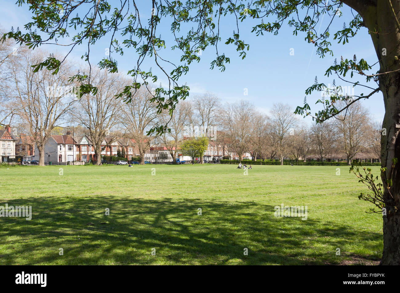 Common gardens hi-res stock photography and images - Alamy