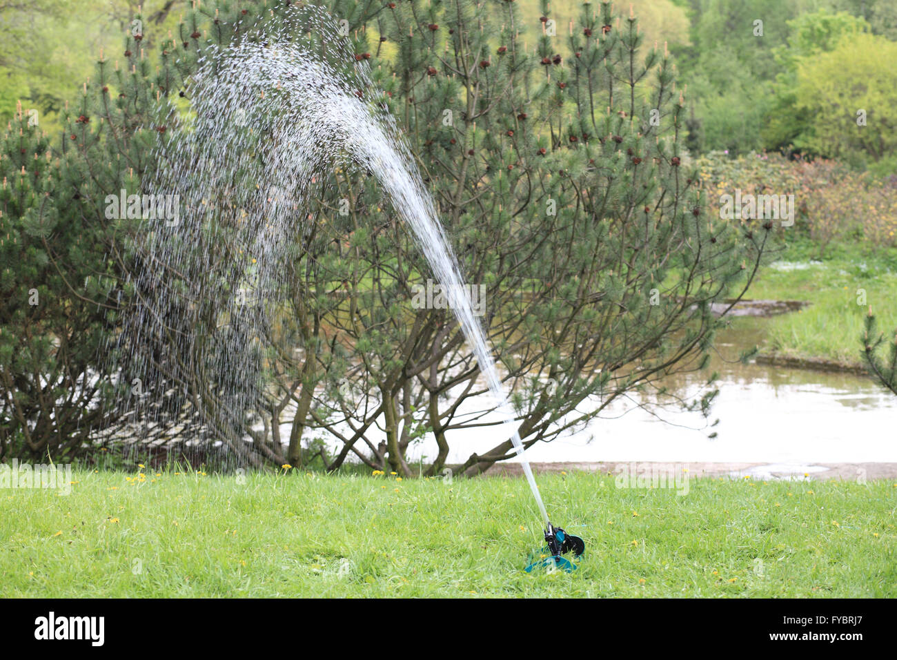 sprinkler in japan garden Stock Photo - Alamy