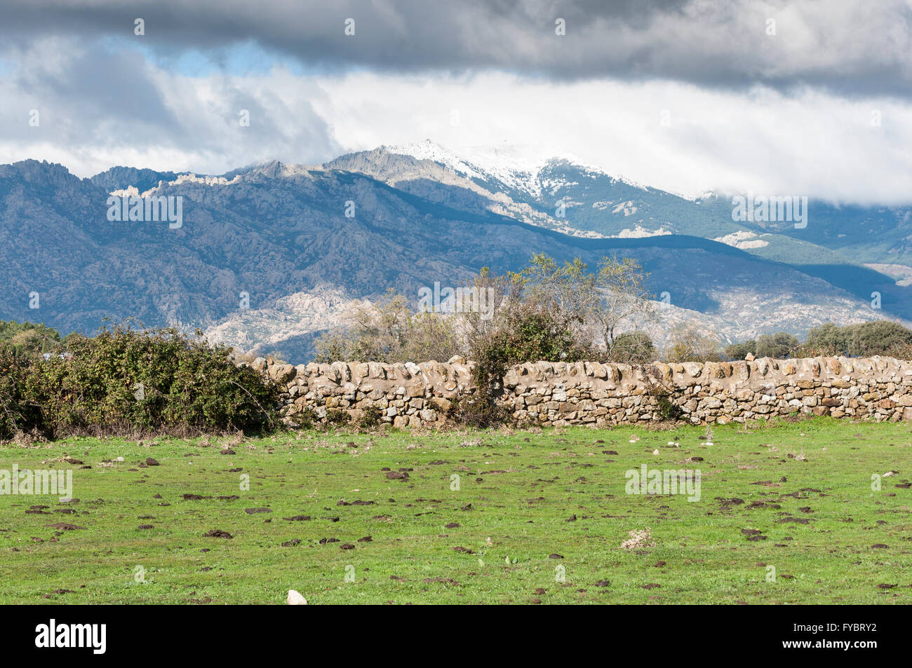 Stone wall in the field Stock Photo - Alamy