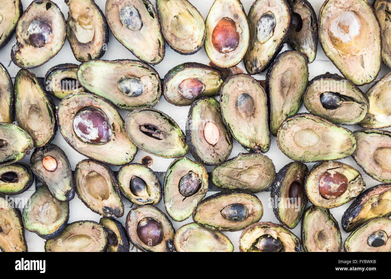 Box of over ripe Avocados in supermarket rubbish yard. Food waste ...