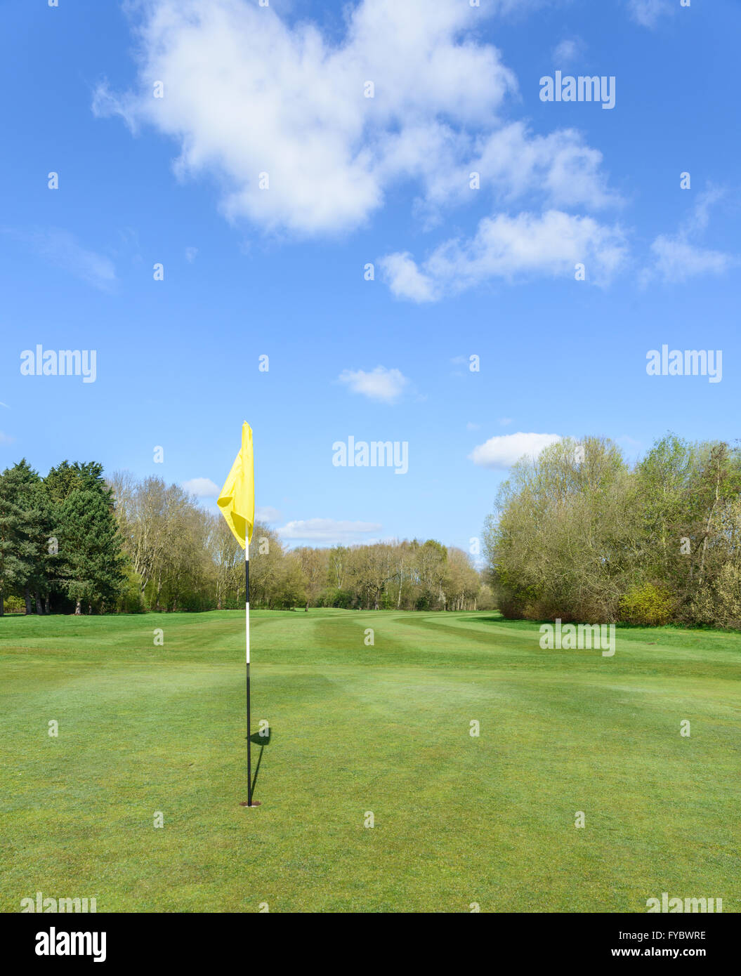 Gold golf tee hi-res stock photography and images - Alamy