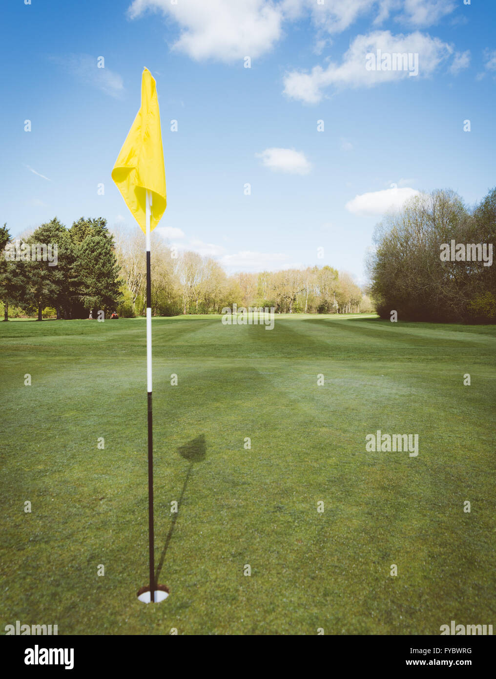 Gold golf tee hi-res stock photography and images - Alamy