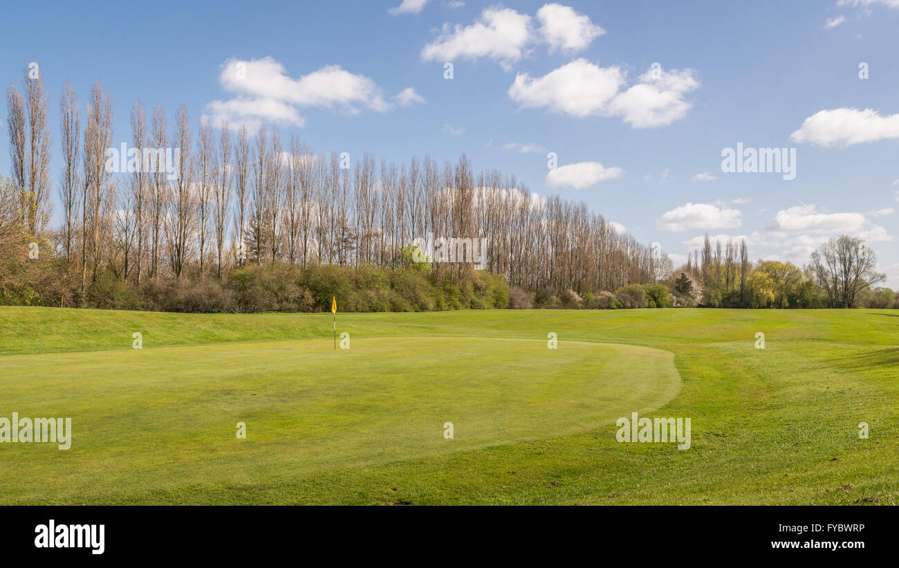 Golf course on a sunny day Stock Photo - Alamy