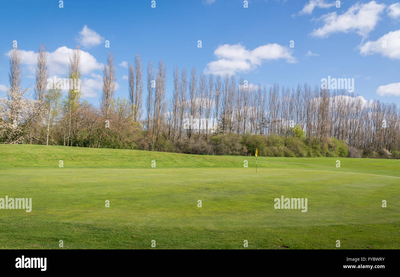 Golf course on a sunny day Stock Photo - Alamy