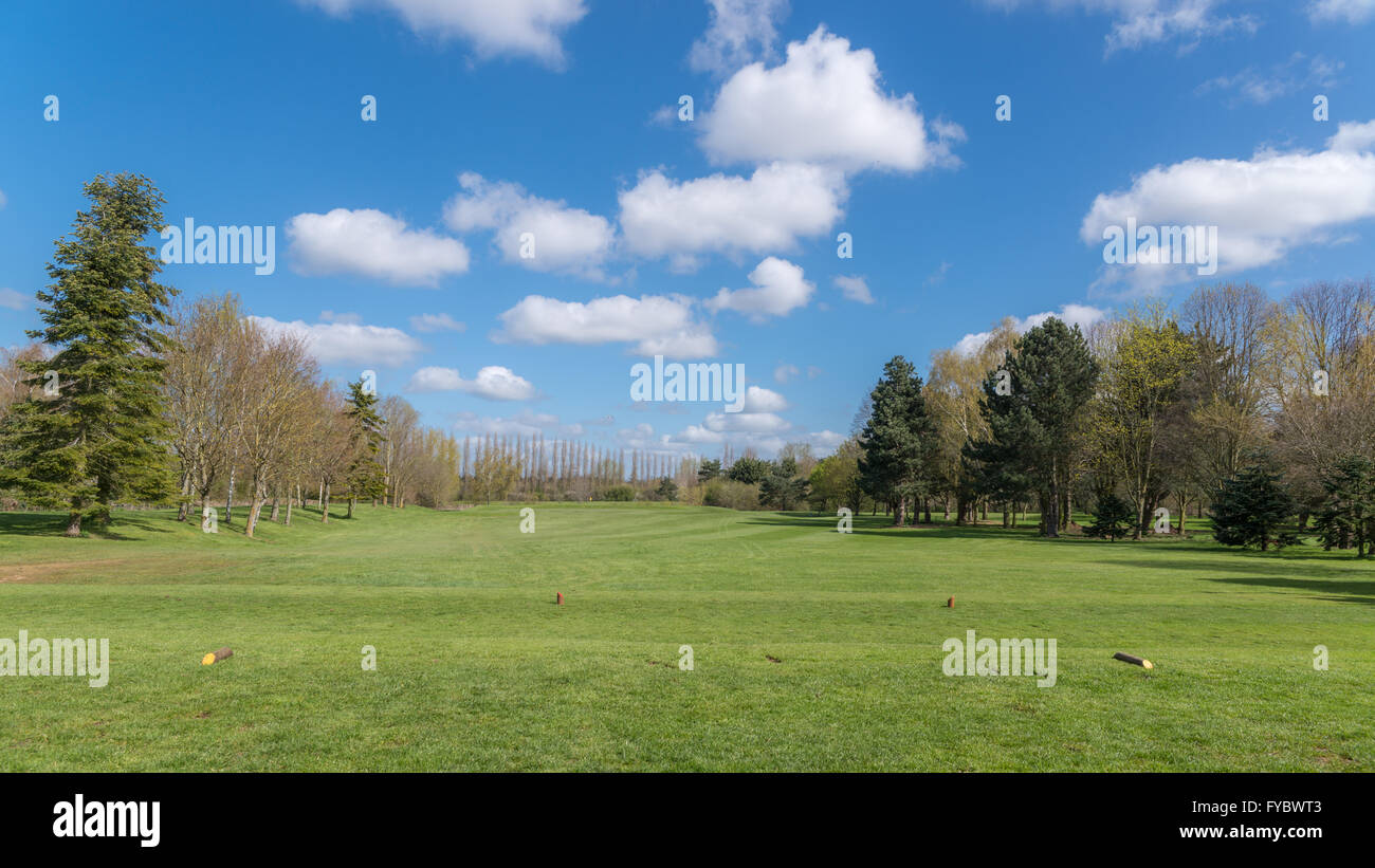 Golf course on a sunny day Stock Photo - Alamy
