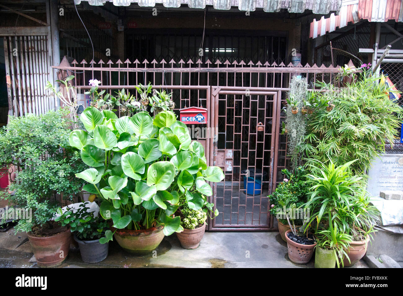 strongly protected work and living area with letterbox and plants ...