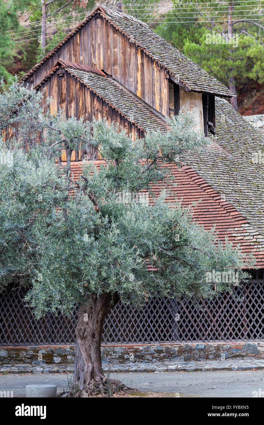 Byzantine church olive tree hi-res stock photography and images - Alamy