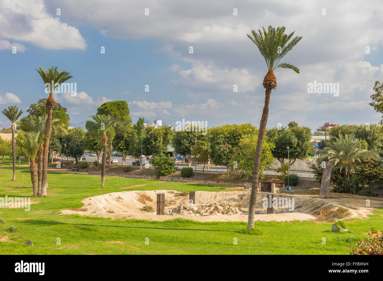 City park with palm trees and green grass, Nicosia, Cyprus Stock Photo ...