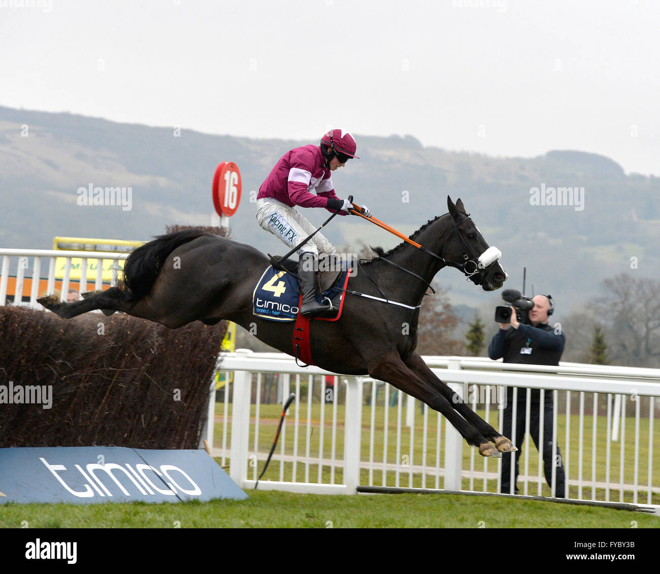 Don cossack race horse hi-res stock photography and images - Alamy