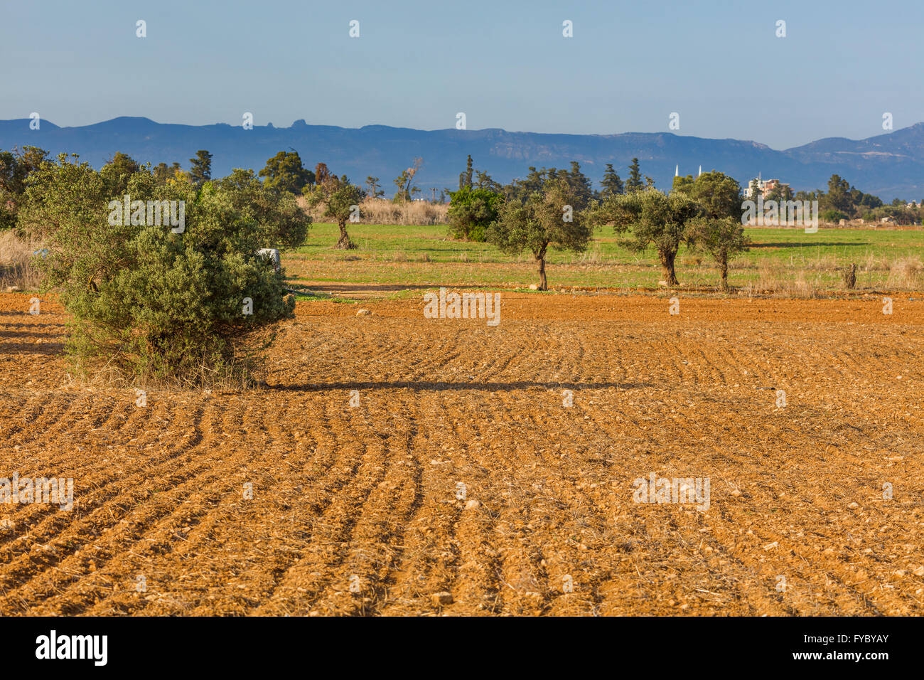 Farm land northern cyprus hi-res stock photography and images - Alamy