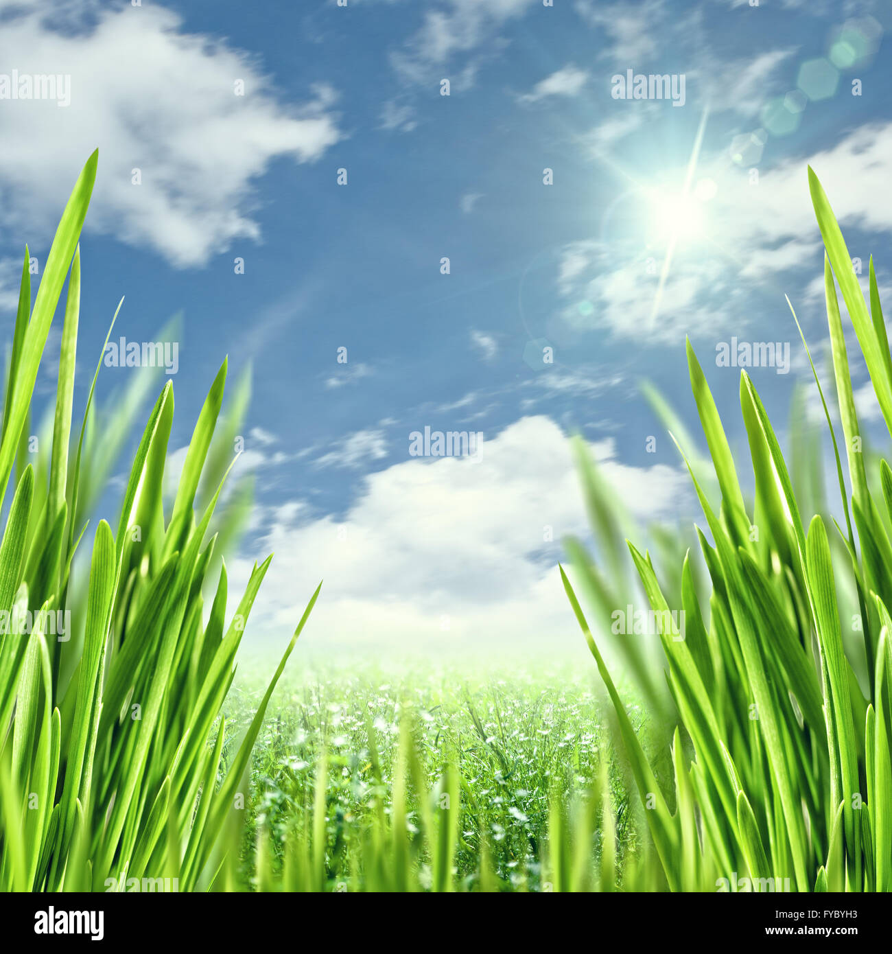 Beauty spring time. Abstract natural backgrounds Stock Photo - Alamy