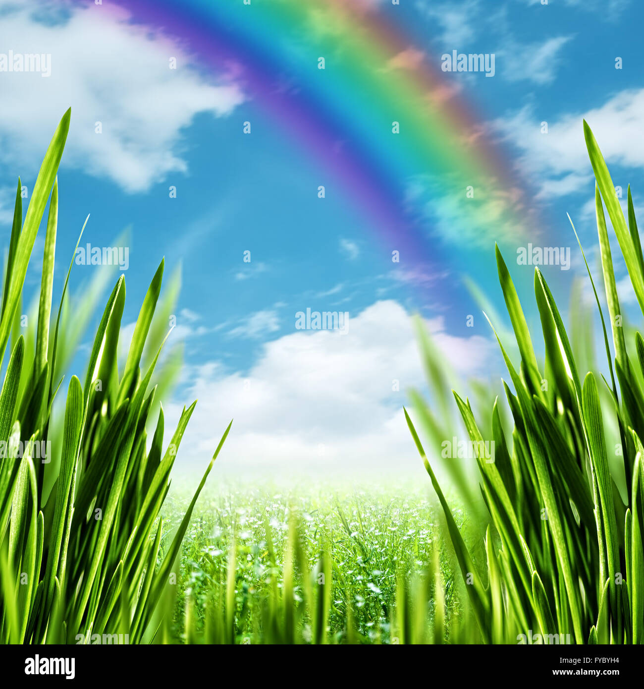 Beauty spring time. Abstract natural backgrounds Stock Photo - Alamy