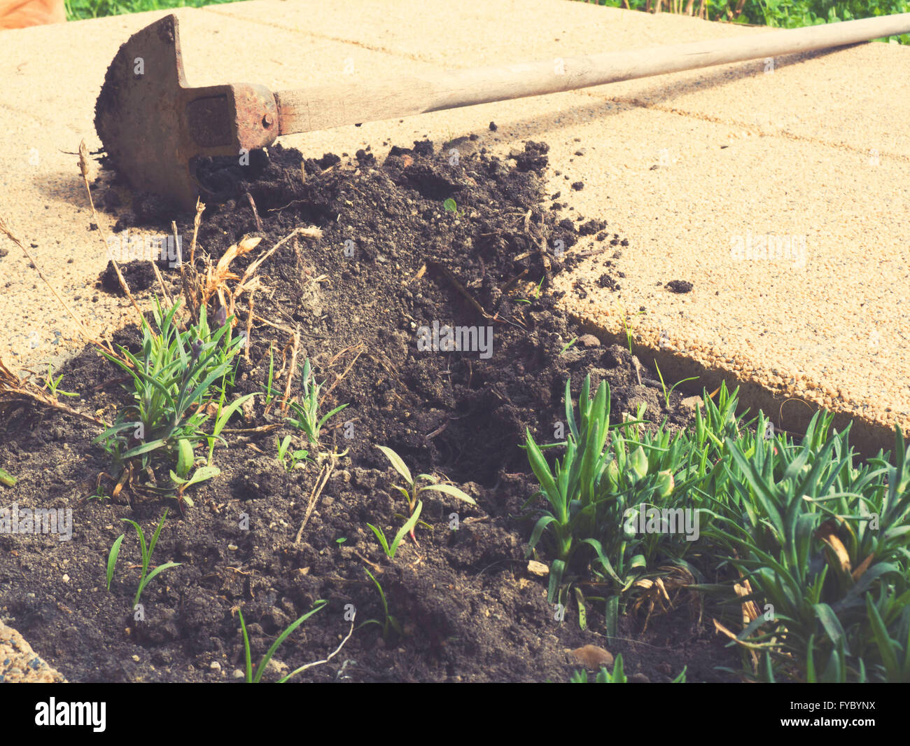 O cultivate hi-res stock photography and images - Alamy