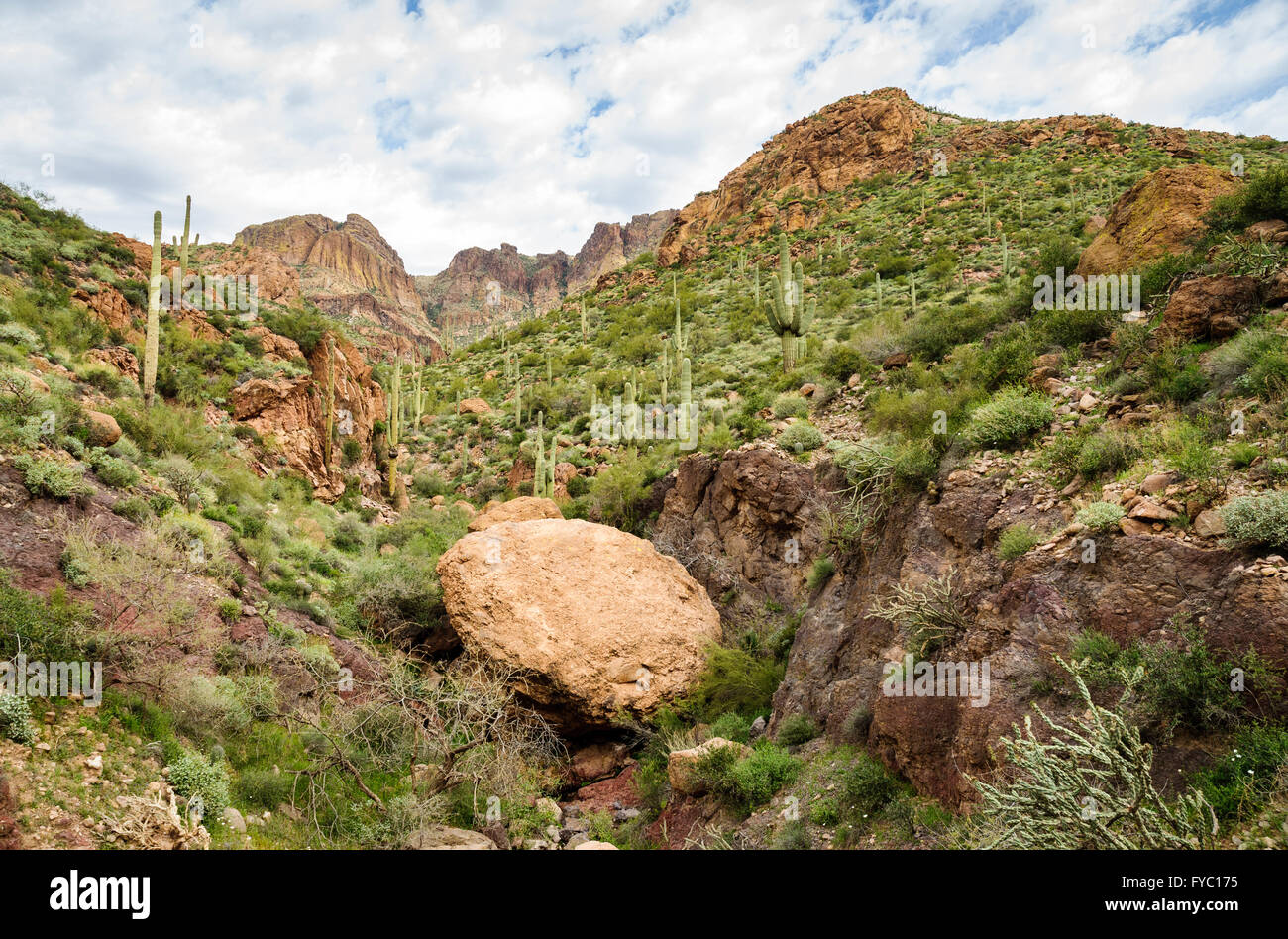 Tonto apache reservation hi-res stock photography and images - Alamy