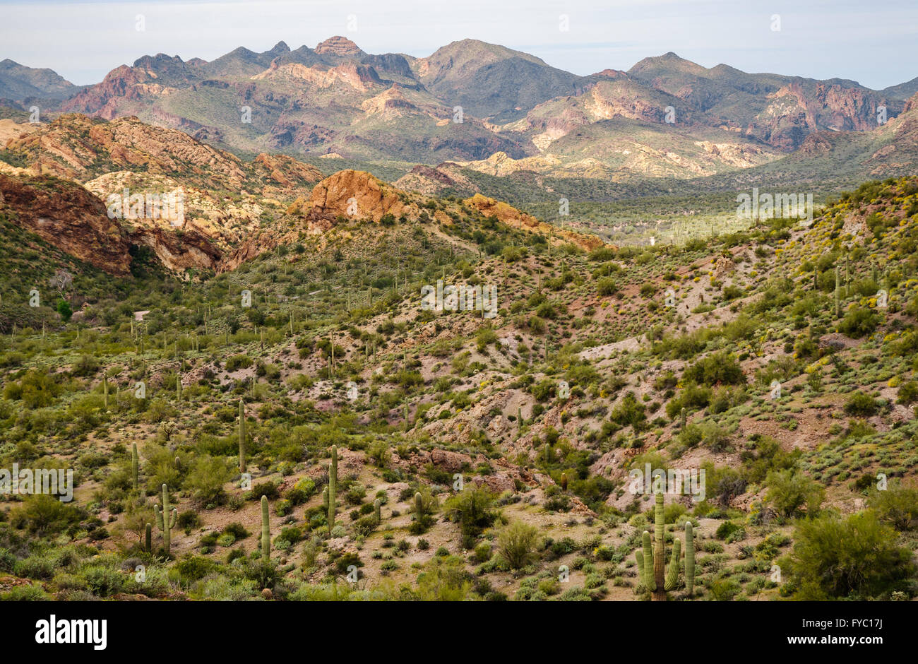 Tonto apache reservation hi-res stock photography and images - Alamy
