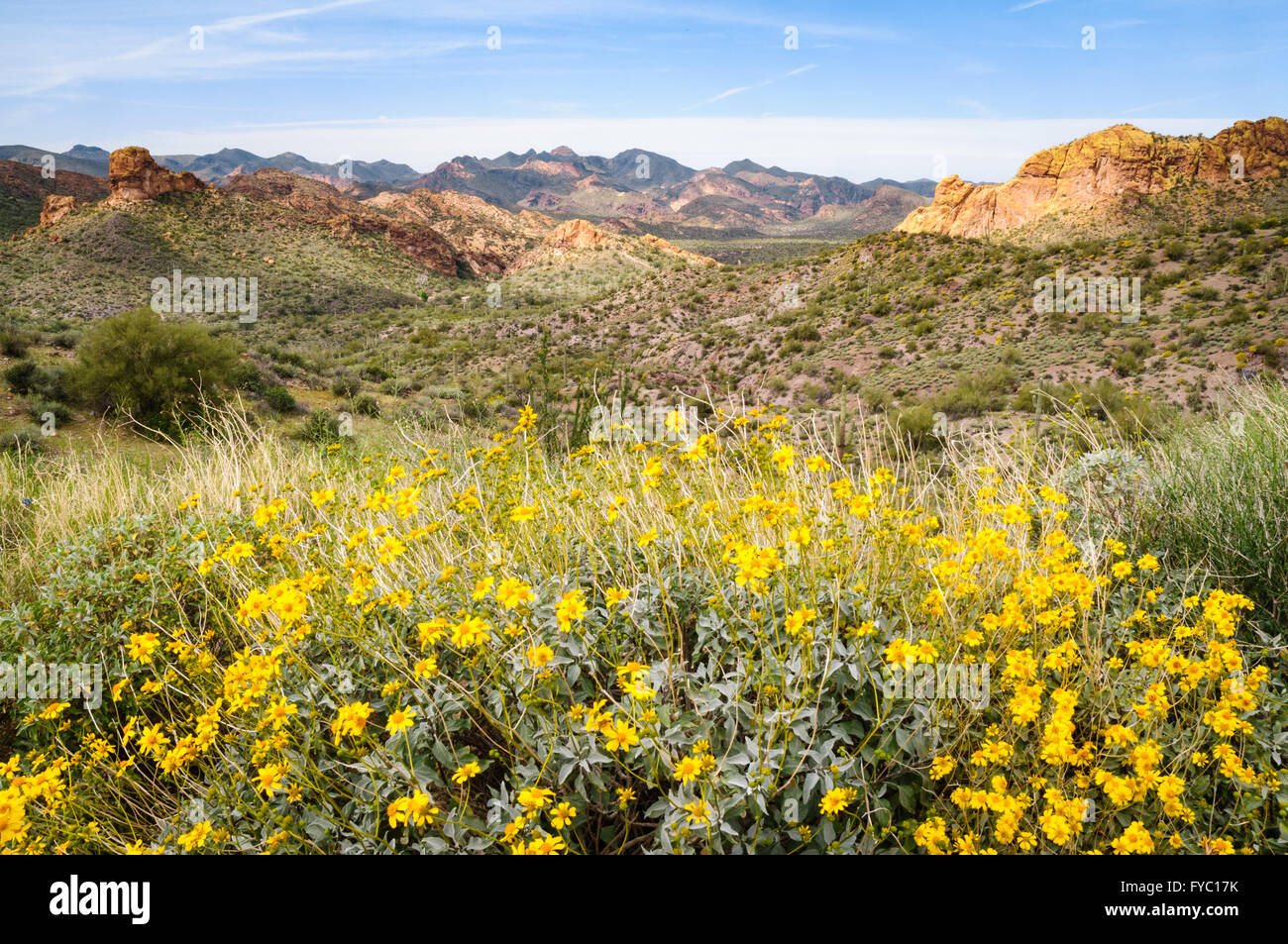 Apache Trail Arizona High Resolution Stock Photography and Images - Alamy