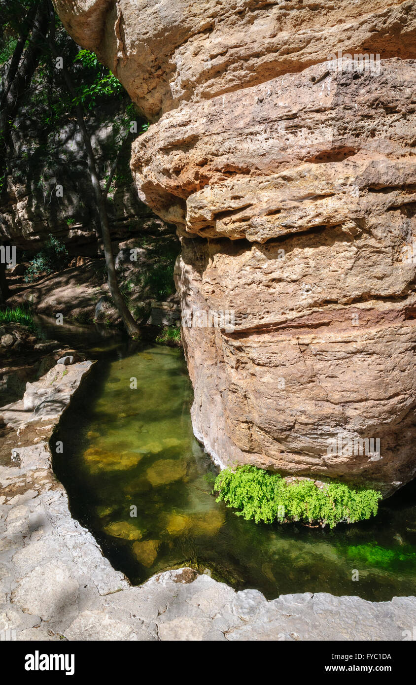 Montezuma Well unit of Montezuma Castle National Monument Stock Photo ...