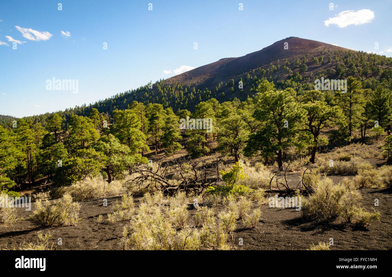 Sunset Crater National Monument Stock Photo - Alamy