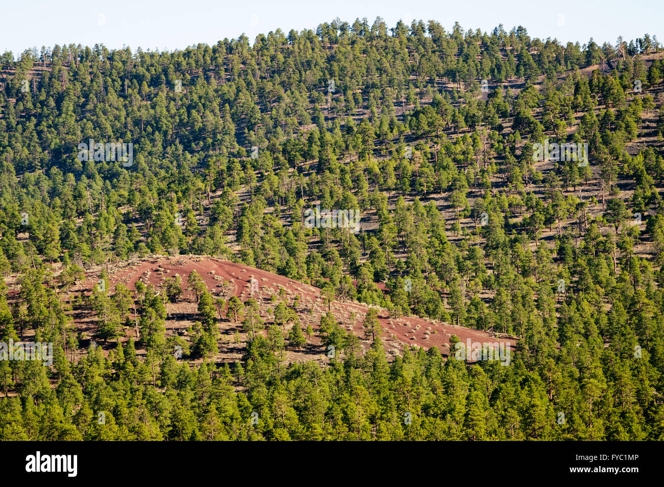 San francisco volcanic field arizona hi-res stock photography and ...