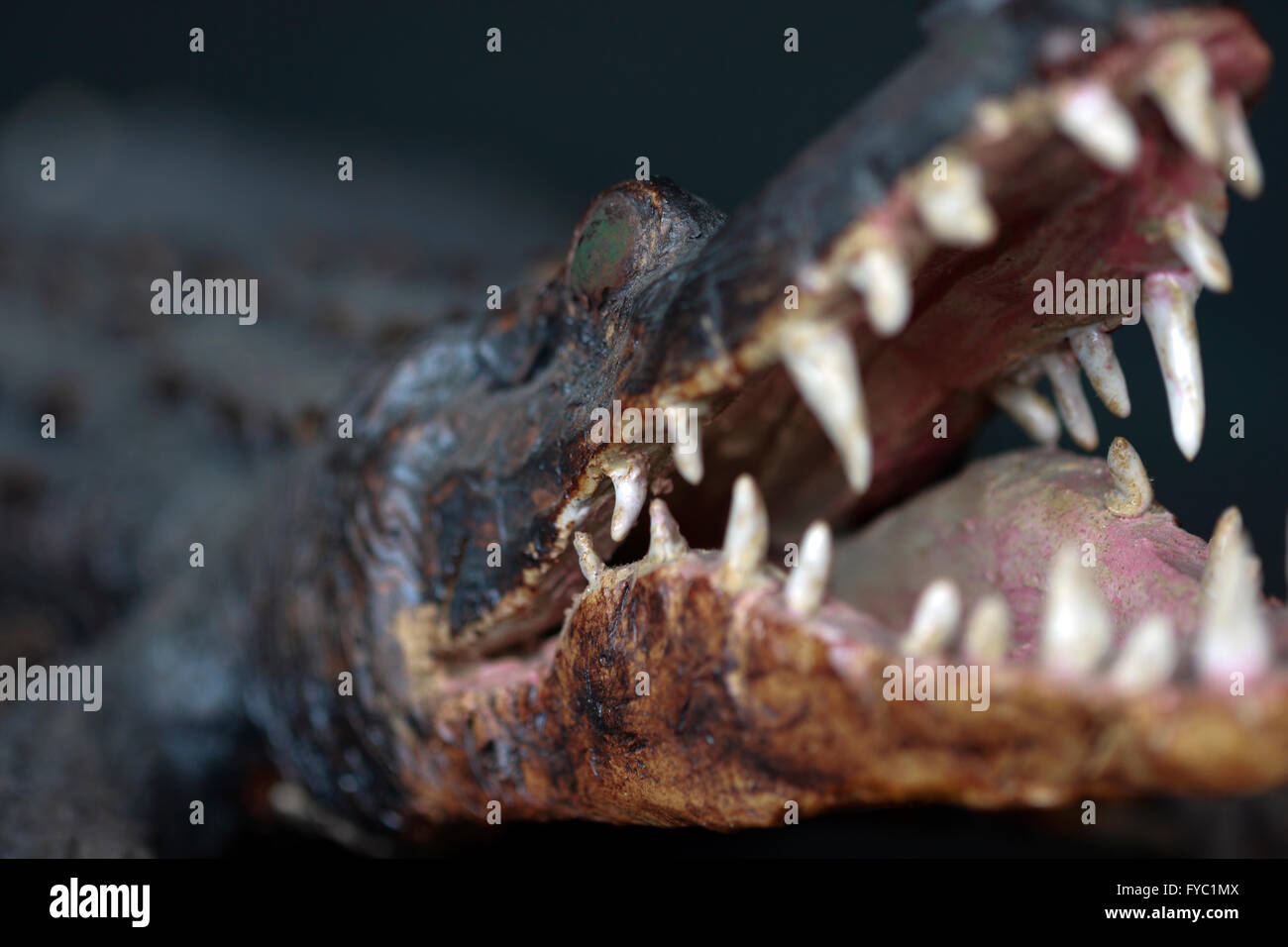 Ceramic alligator pottery sculpture Stock Photo - Alamy