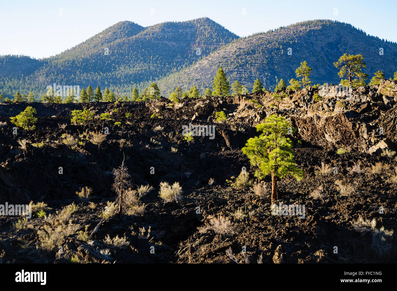 Sunset Crater National Monument Stock Photo - Alamy
