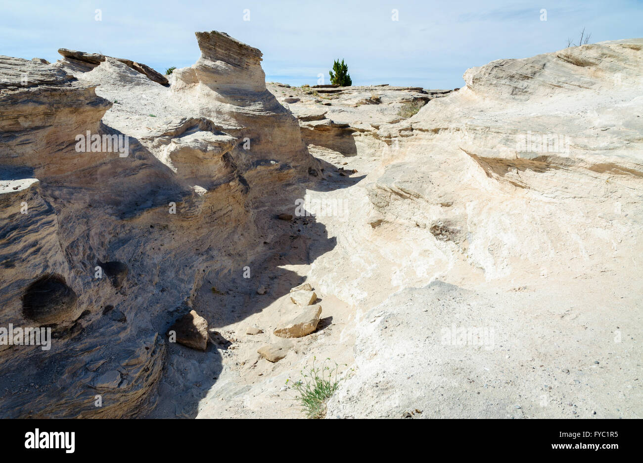 Petrified rocks hi-res stock photography and images - Alamy