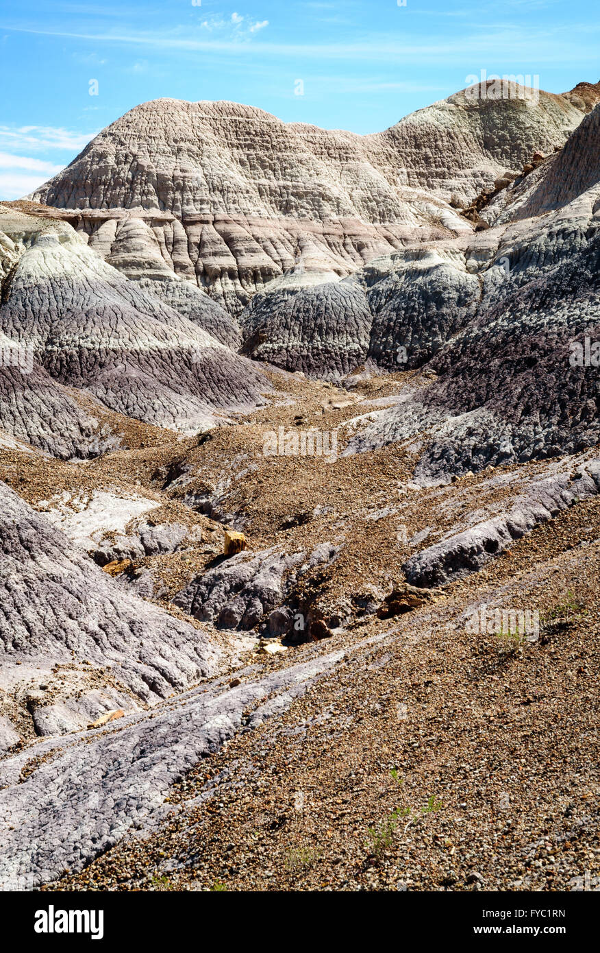 Petrified Rocks High Resolution Stock Photography and Images - Alamy