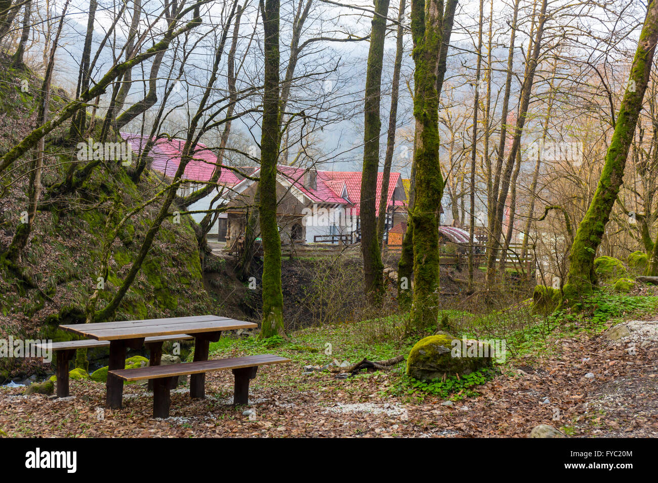 Relax area for picnic with bench and table in the forest with cottages ...