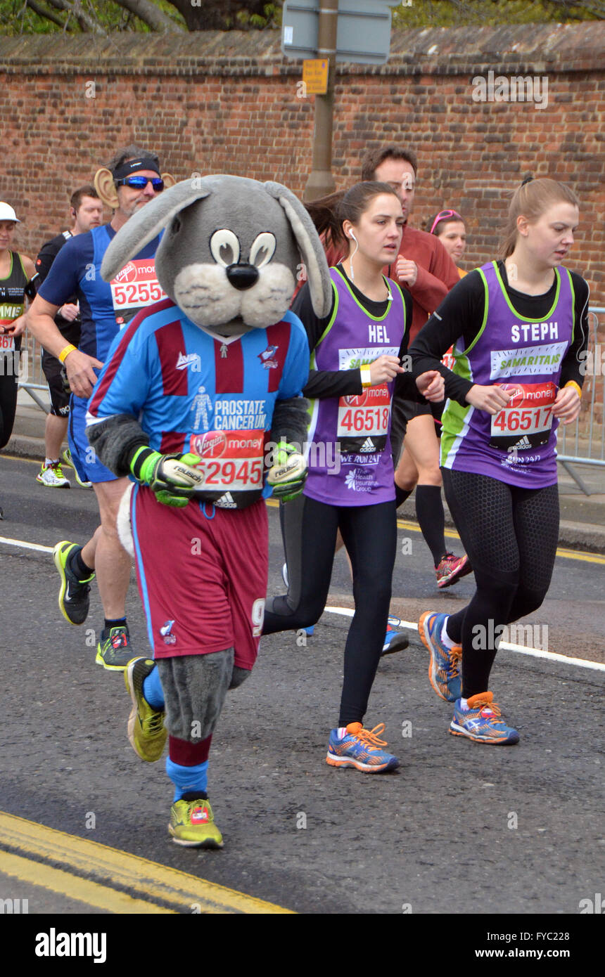 Rabbit runner hi-res stock photography and images - Alamy