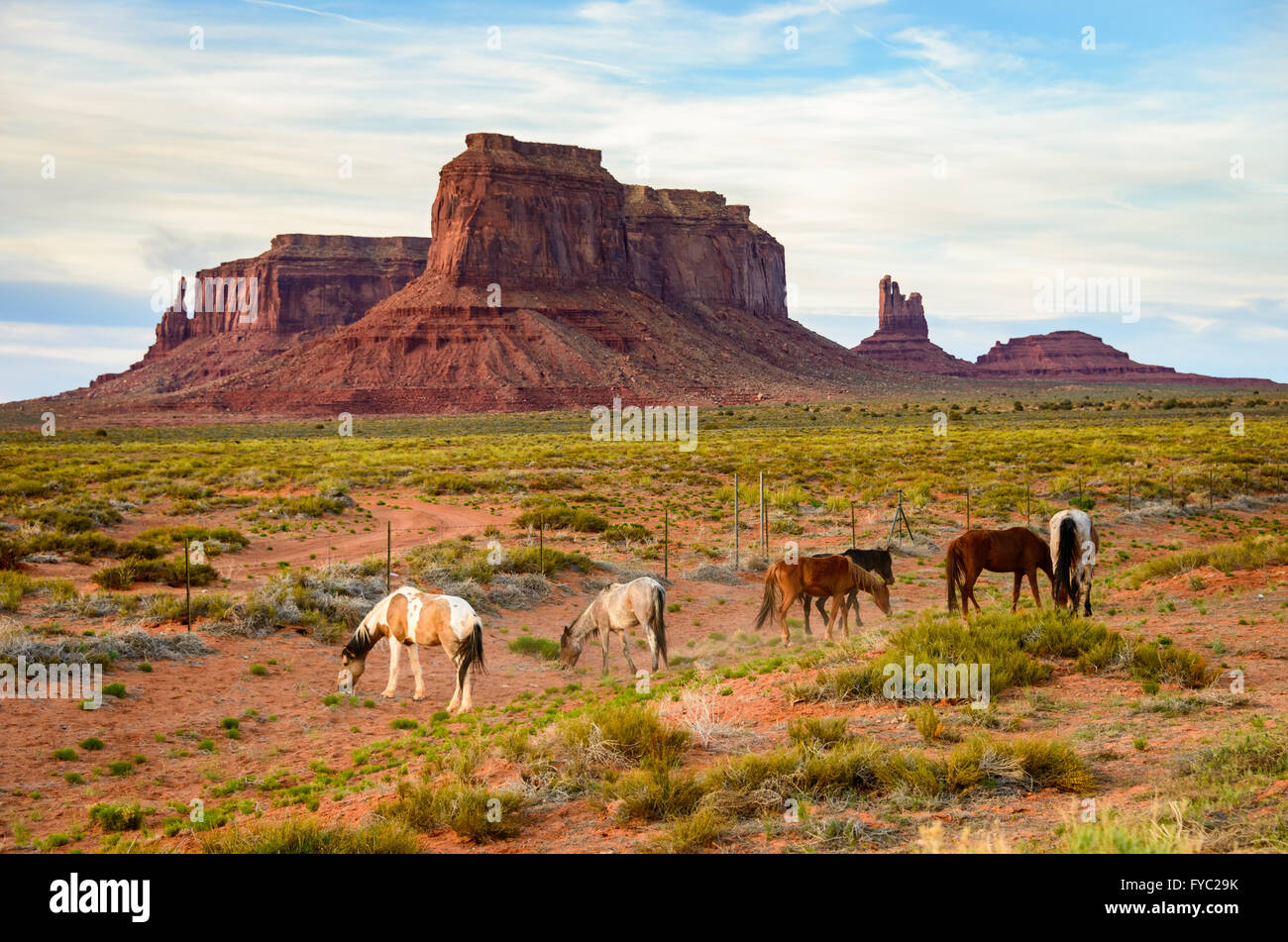 Monument Valley Navajo Tribal Park Stock Photo - Alamy
