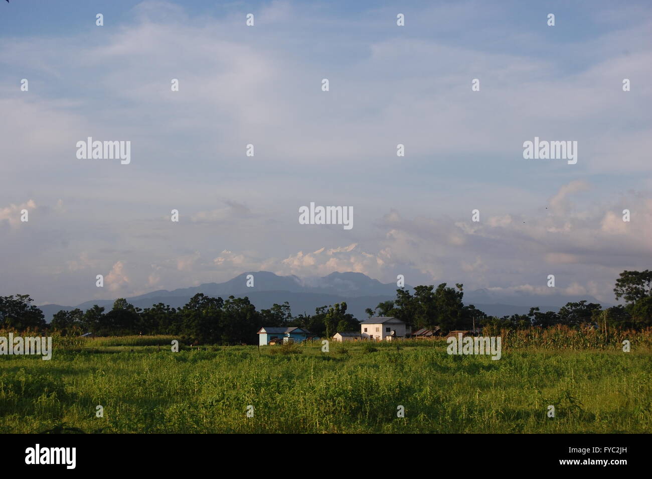 Nepali landscape, Chitwan, Nepal Stock Photo - Alamy