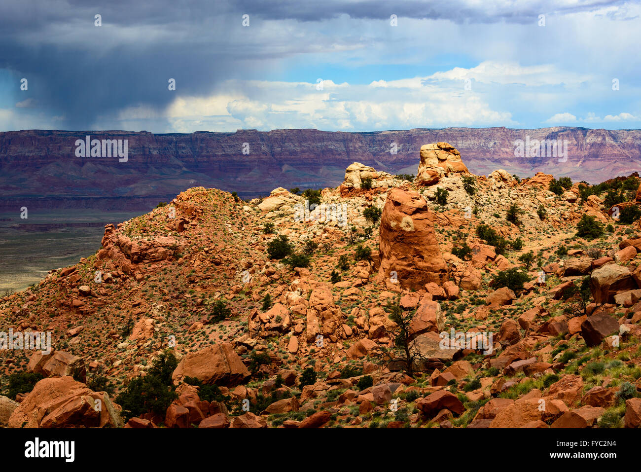 Vermilion Cliffs National Monument Stock Photo - Alamy