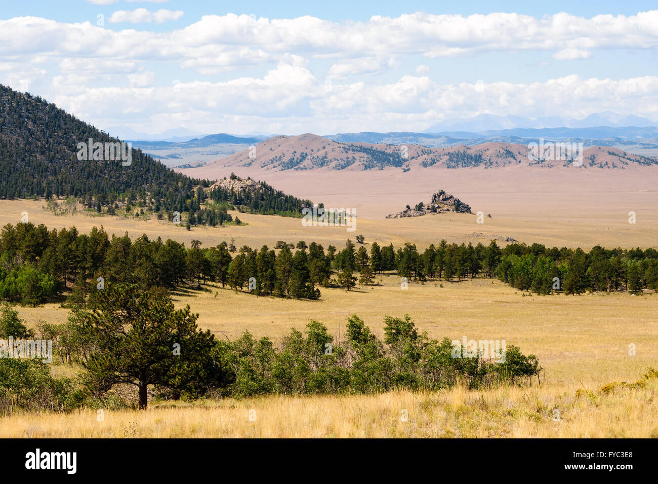 Wilkerson pass hi-res stock photography and images - Alamy