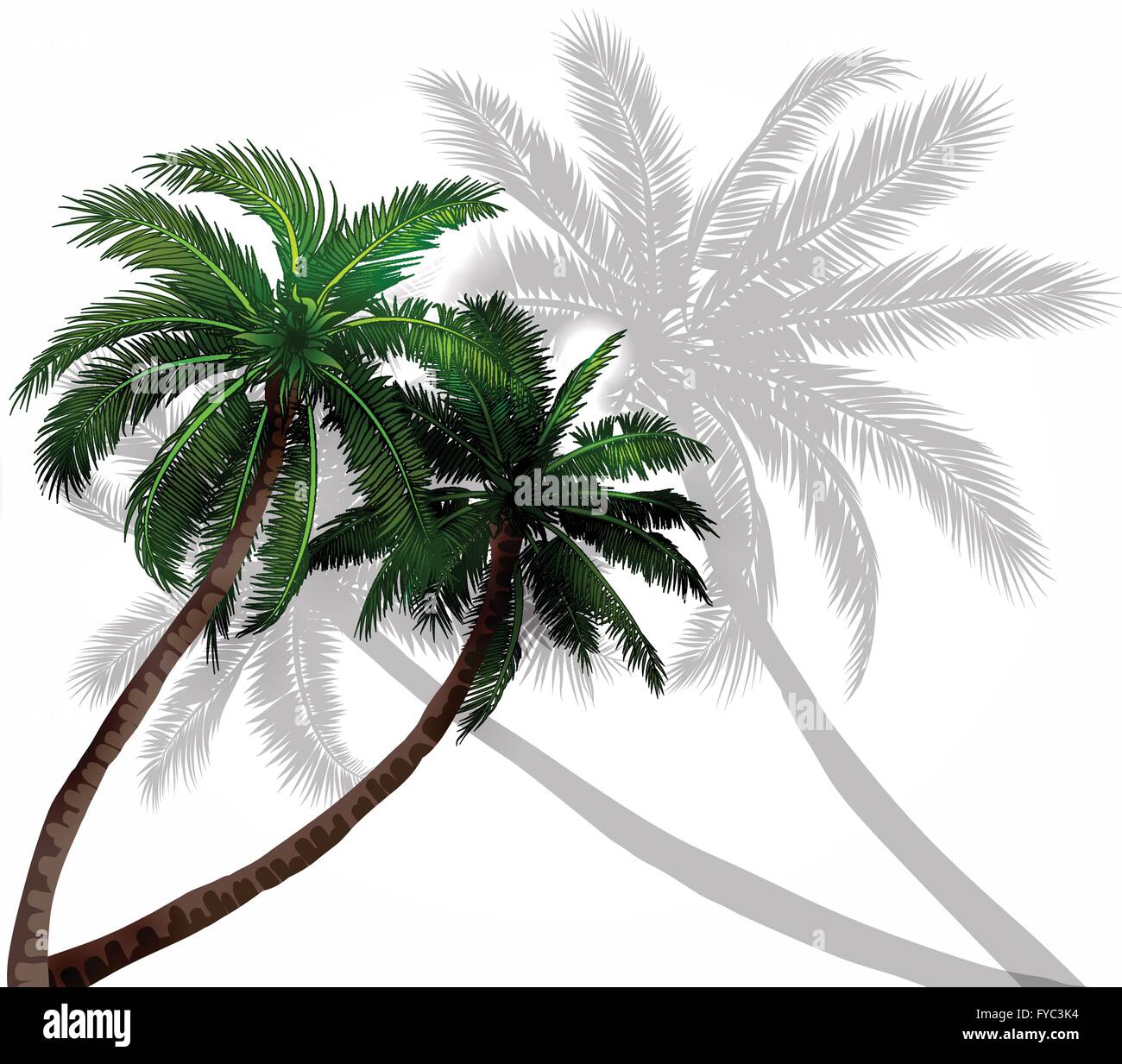 Vector palm trees with green leaves Stock Vector Image & Art - Alamy