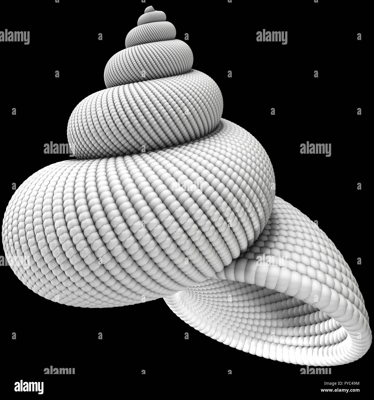 3D illustration of shell object on black background Stock Photo - Alamy