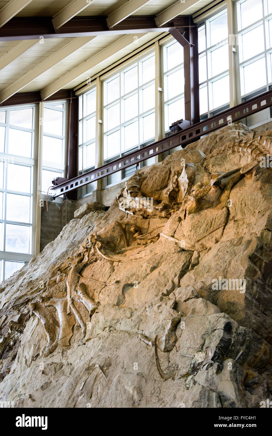 Dinosaur National Monument Stock Photo - Alamy