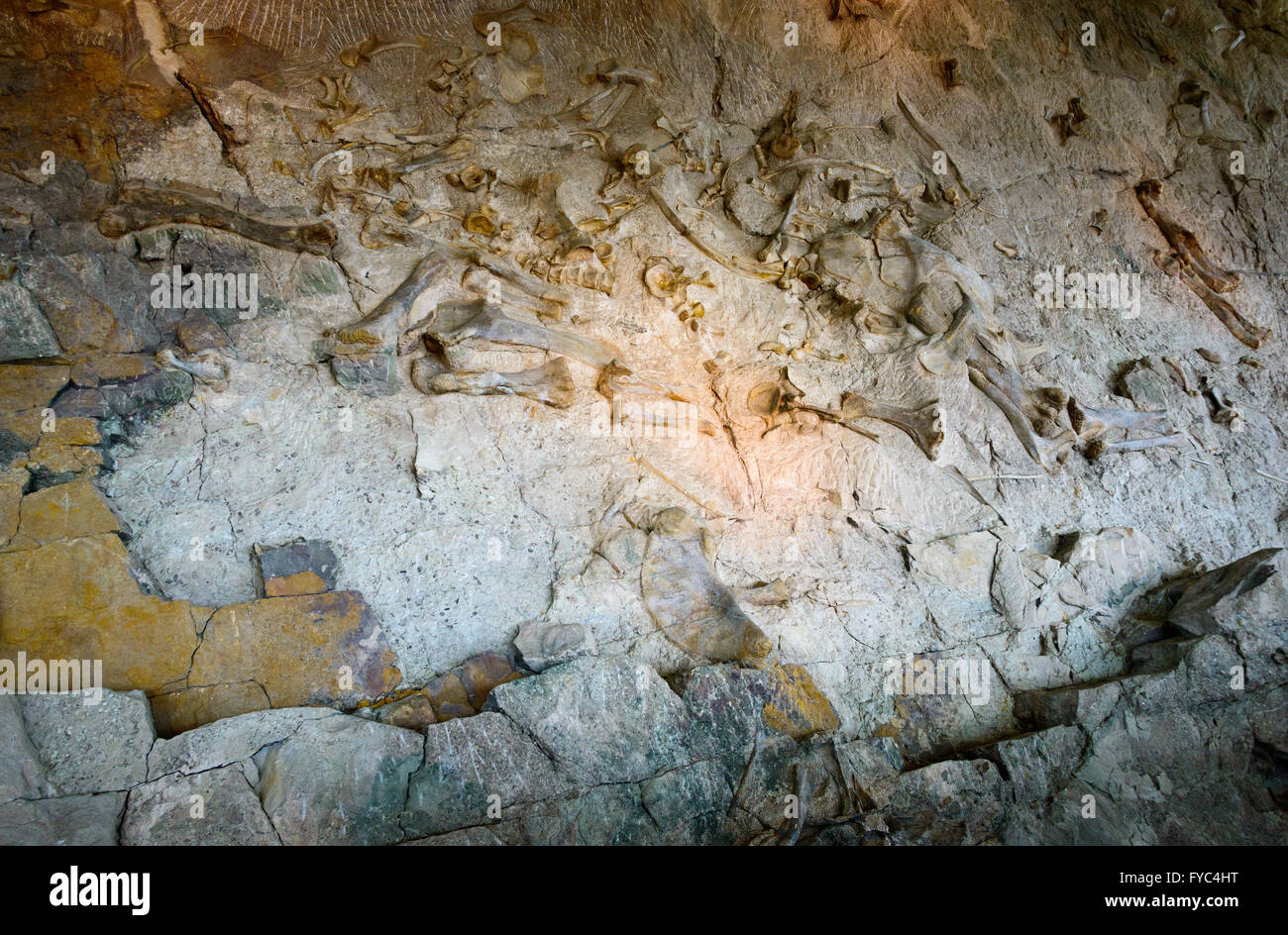 Dinosaur National Monument Stock Photo - Alamy