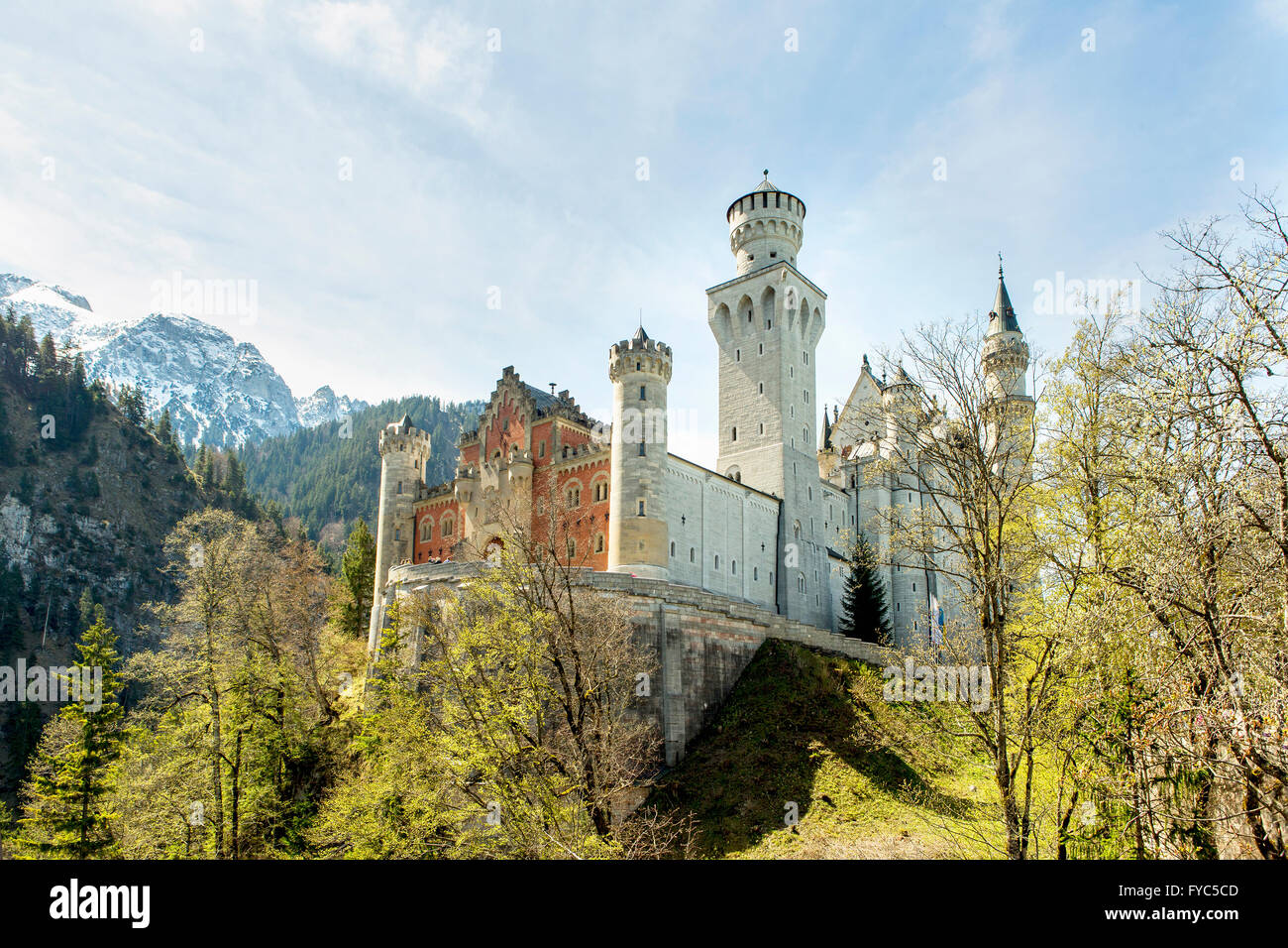 Germany neuschwanstein castle spring hi-res stock photography and images - Alamy