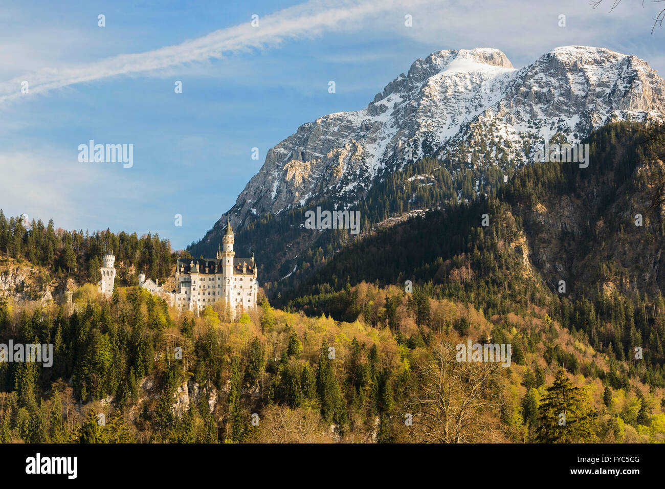 The famous Neuschwanstein Castle in Bavaria in spring day, Germany ...