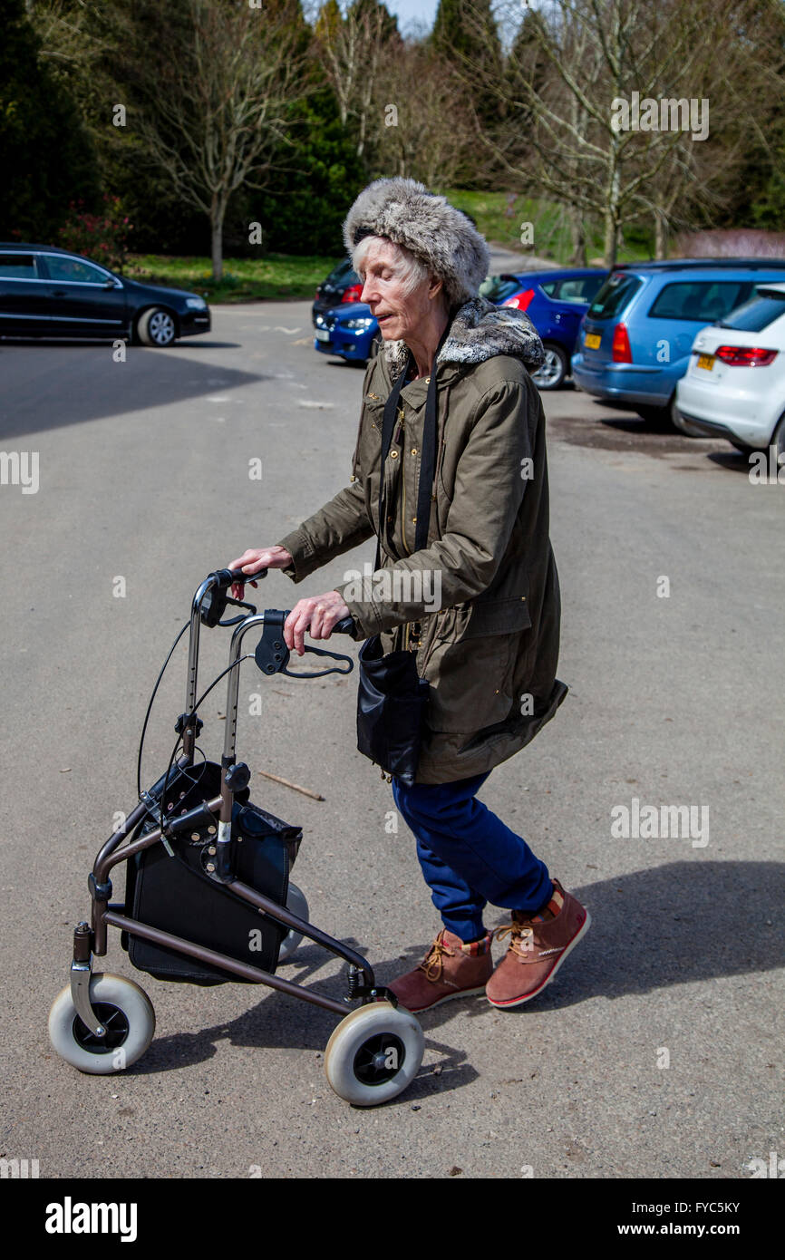 A Disabled Elderly Woman Using A Three Wheel Rollator, Sussex, UK Stock ...