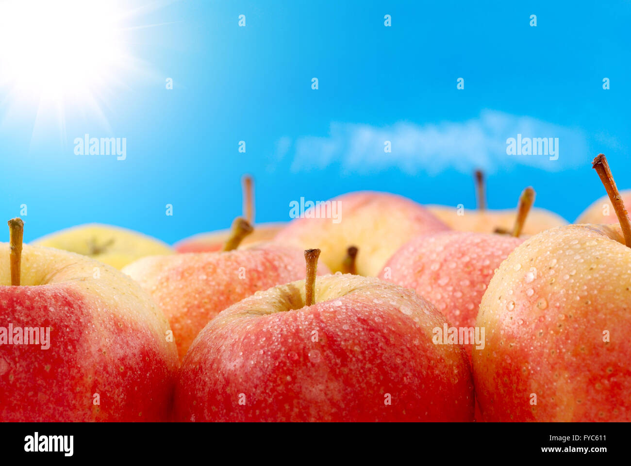 Apples on sky background with sun Stock Photo - Alamy