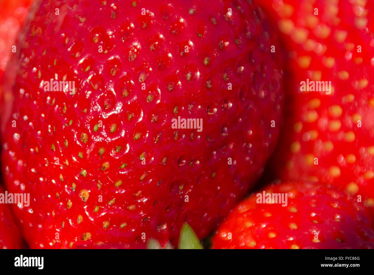 Strawberry macro, strawberries closeup - fruit macro Stock Photo - Alamy