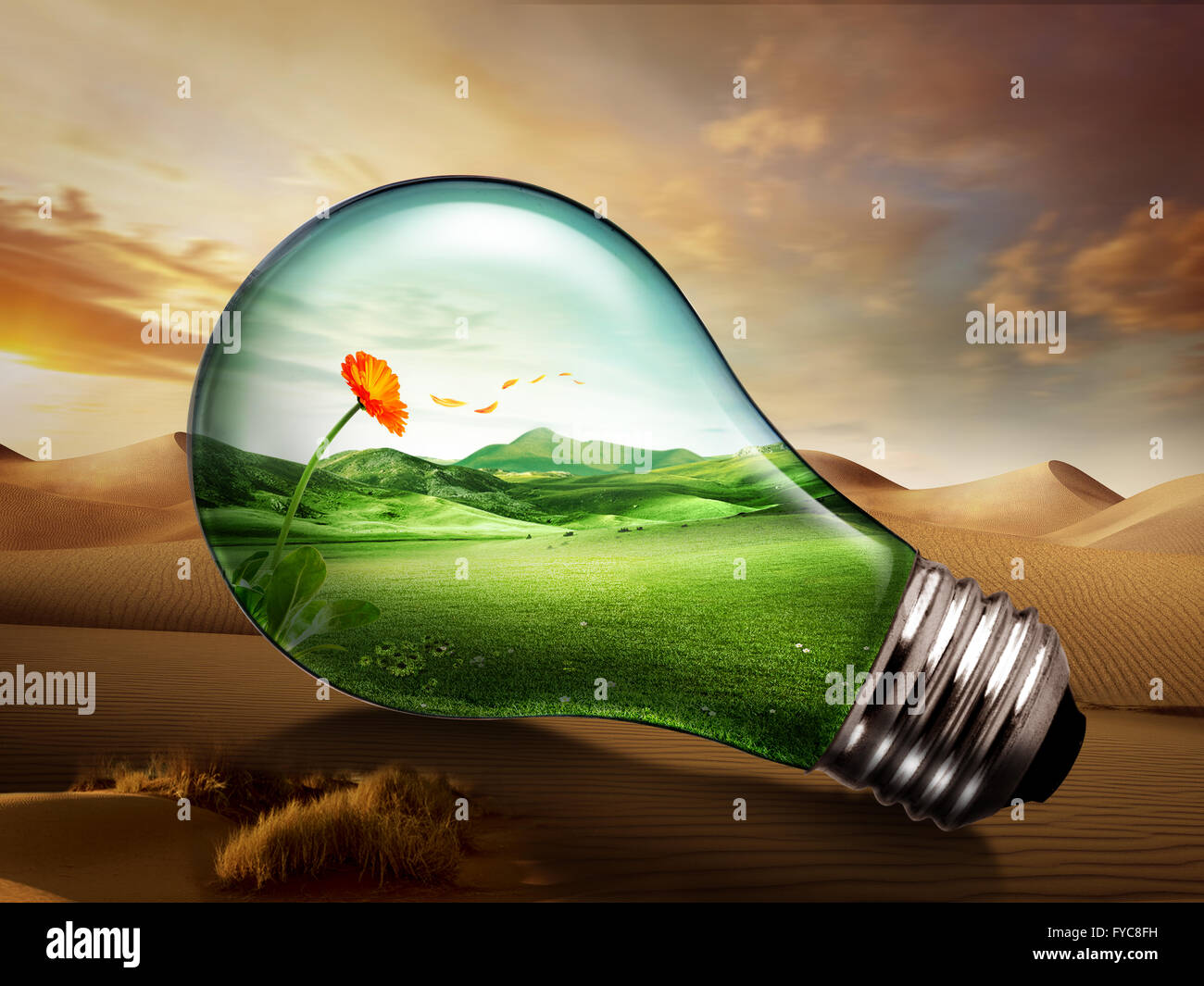 Business editing photo 008 hi-res stock photography and images - Alamy