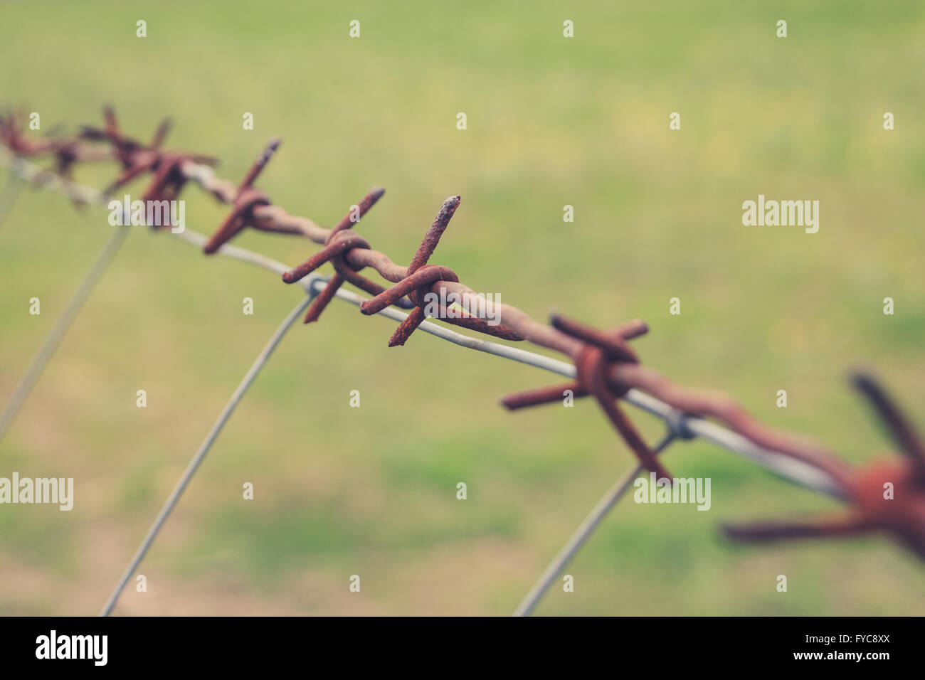 Barbwire hi-res stock photography and images - Alamy