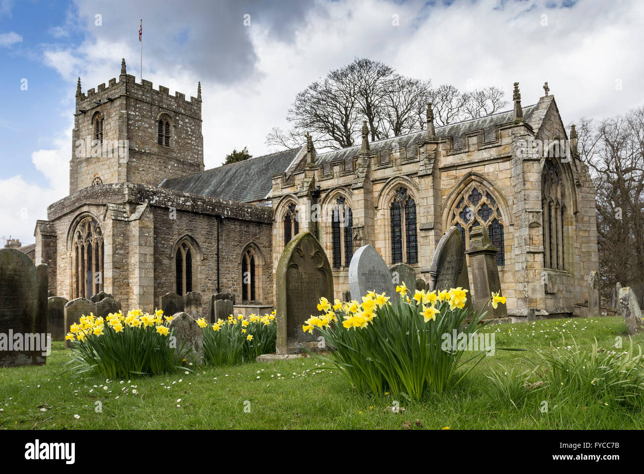 Daffodil in landscape hi-res stock photography and images - Alamy